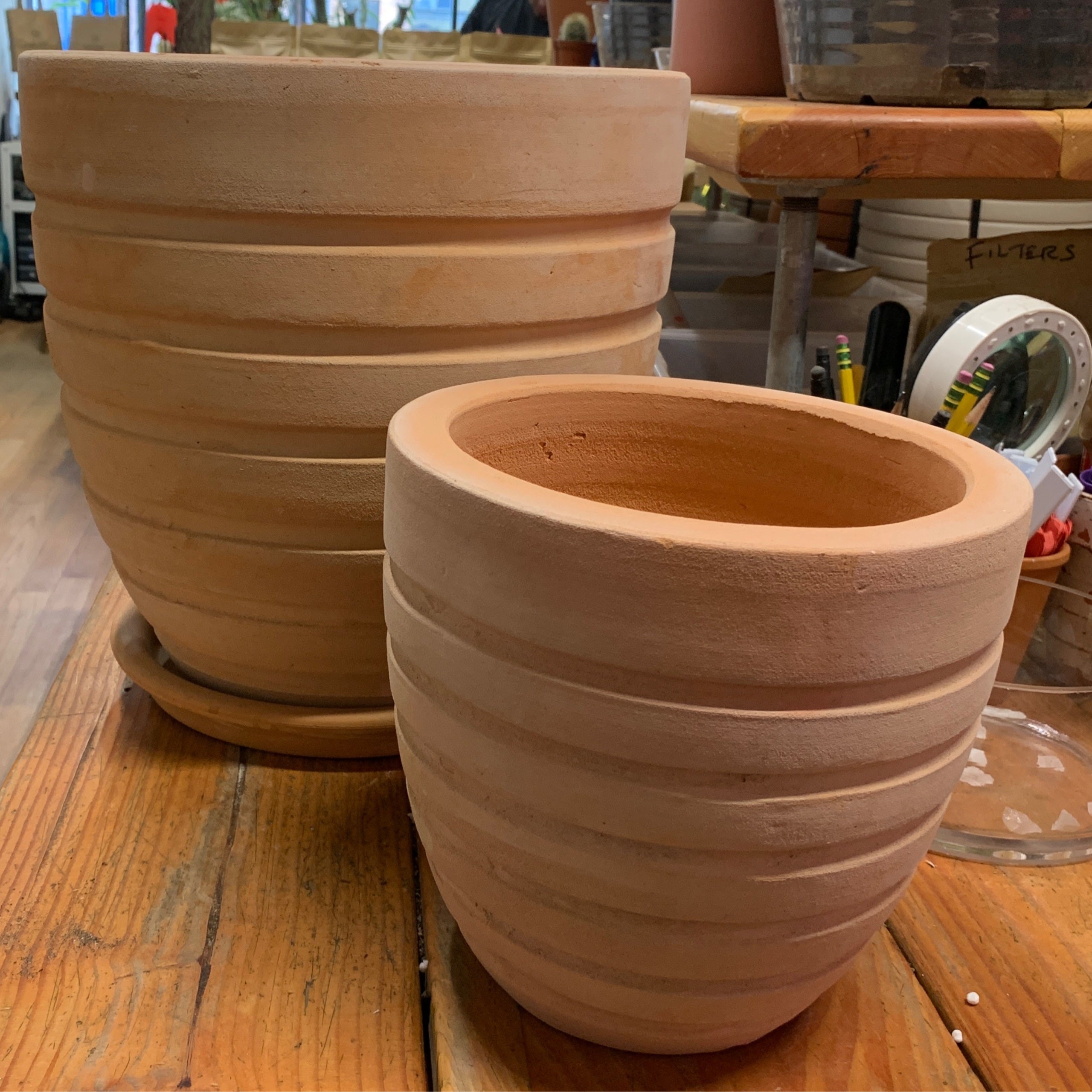 Banded Egg Pot | Plant Shop Chicago